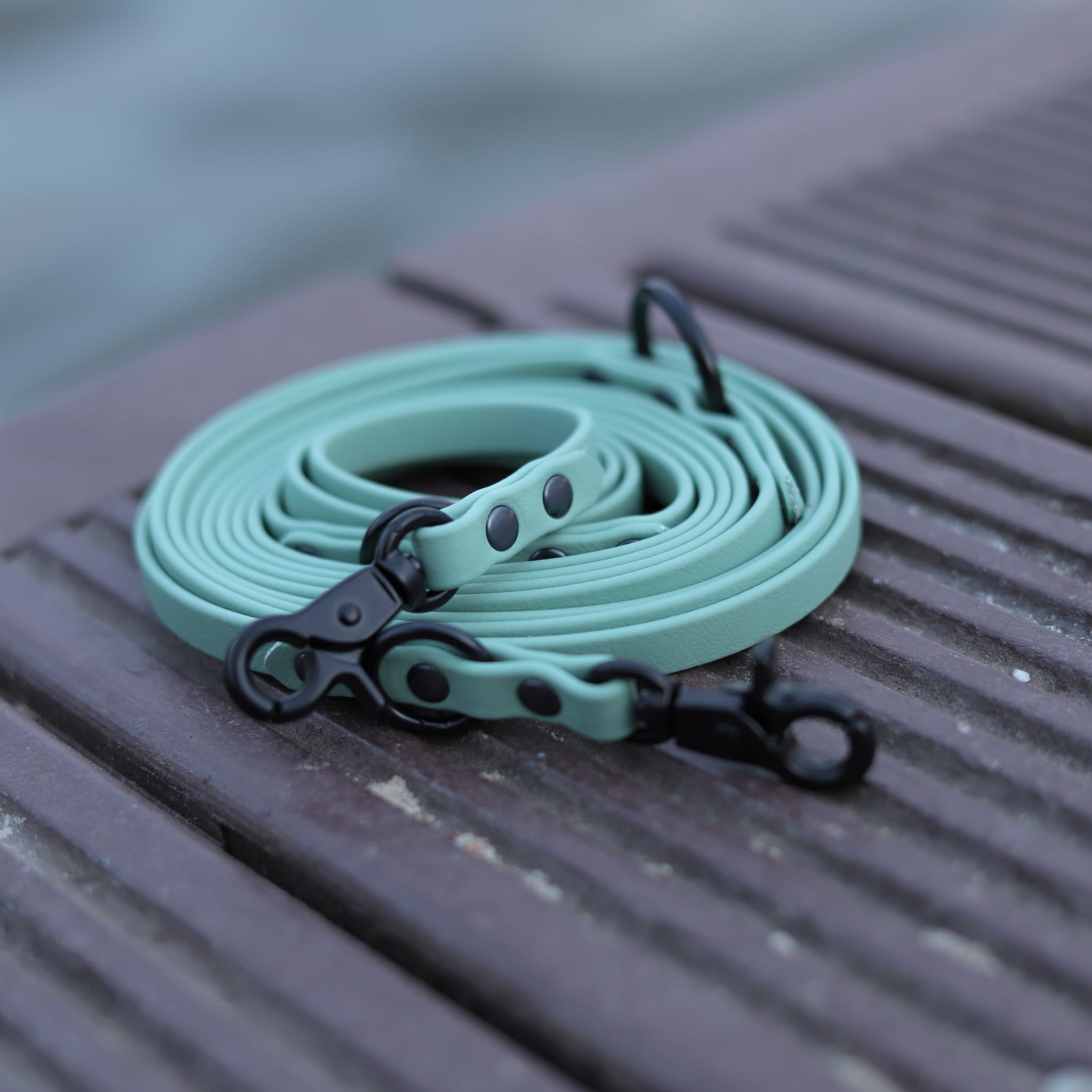 Smycz przepinana BioThane Sage Green Co-Collar