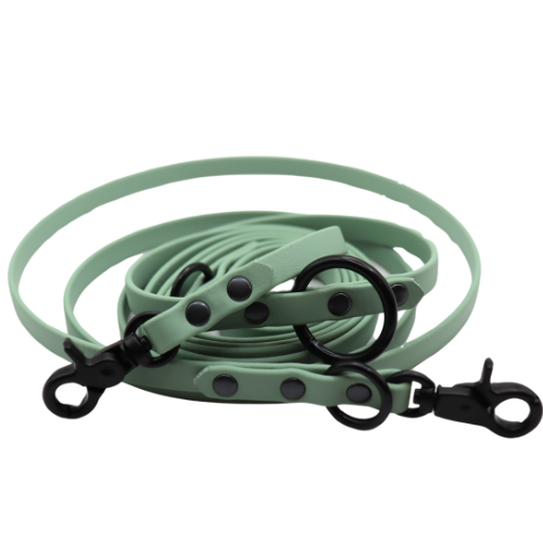 Smycz przepinana BioThane Sage Green Co-Collar